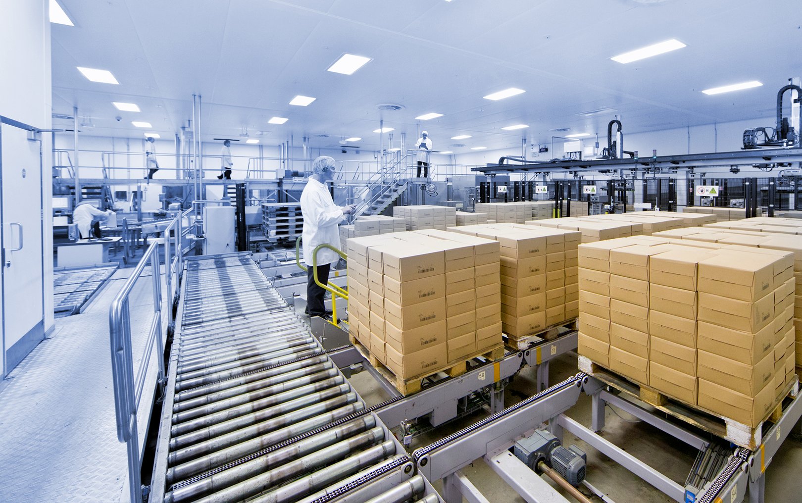 Add order to your operation using a conveyor system in the palletizing ...